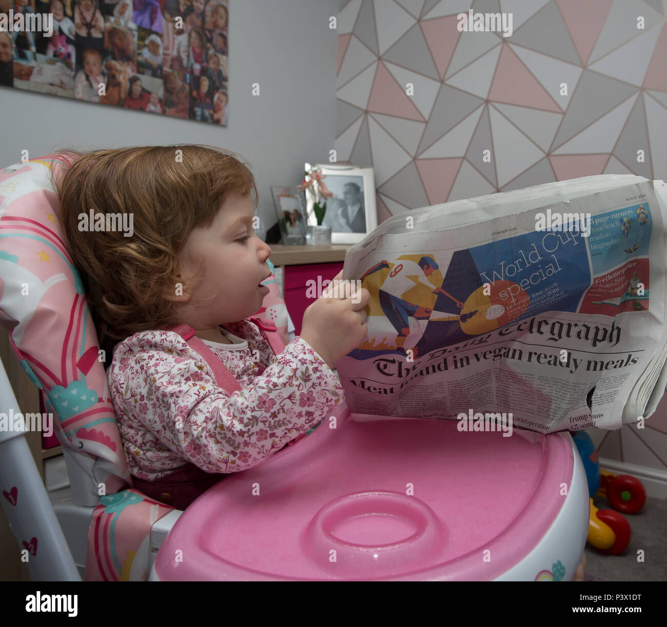 A very young child looks at the Daily Telegraph newspaper while seated ...