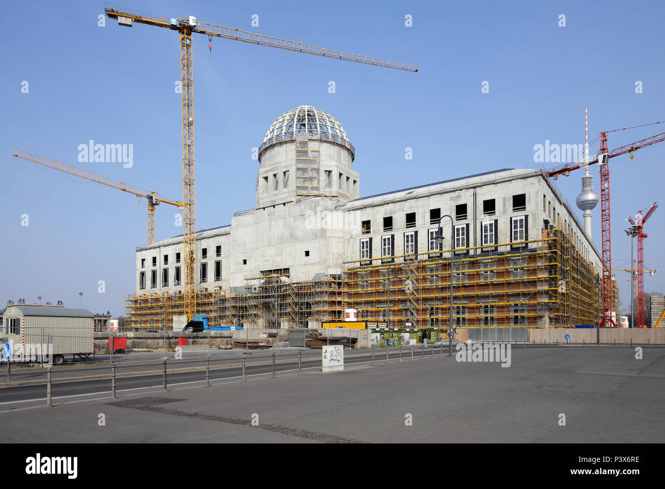 Shell structures hi-res stock photography and images - Alamy