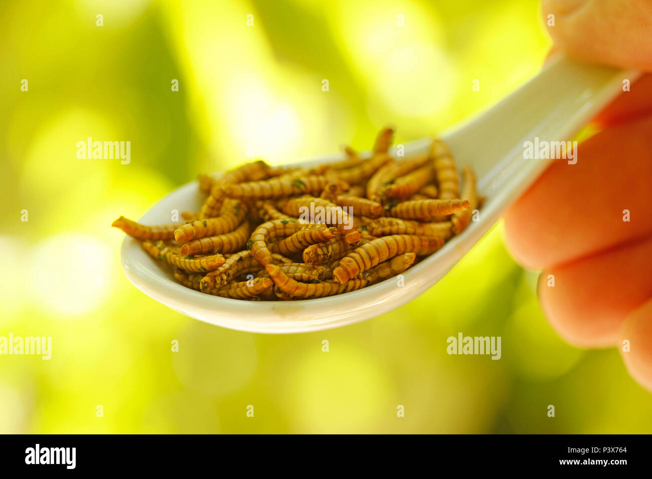 How to eat fried worms hi-res stock photography and images - Alamy