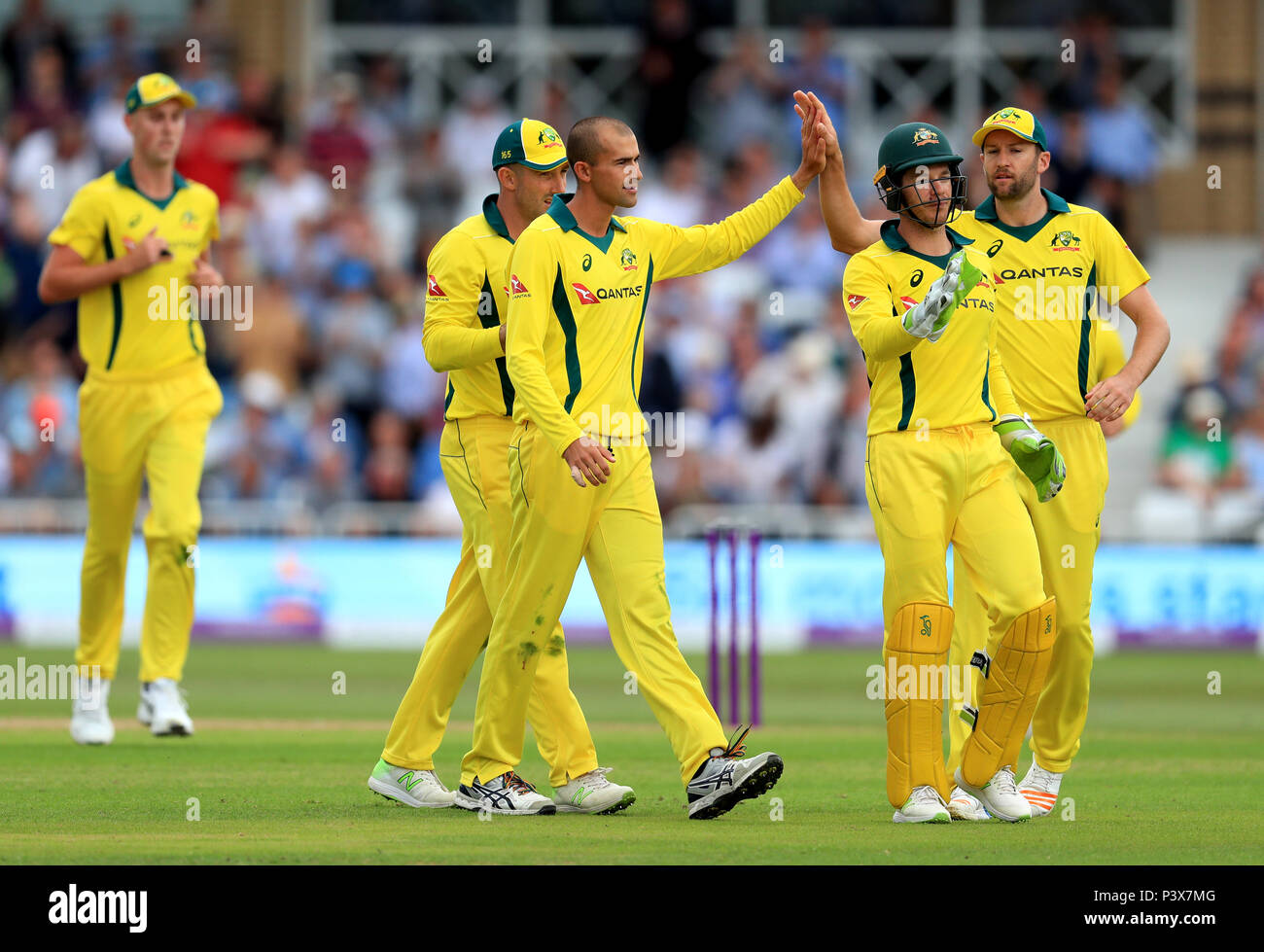 Australias ashton agar celebrates hi-res stock photography and images ...