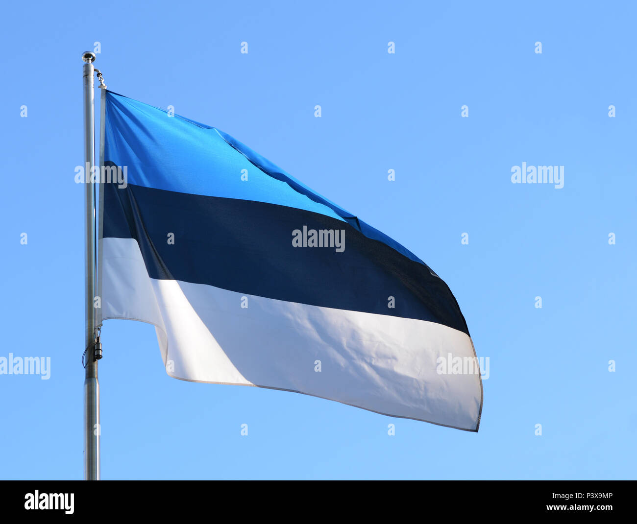National flag of Estonia flies against a clear blue sky. Referred to ...