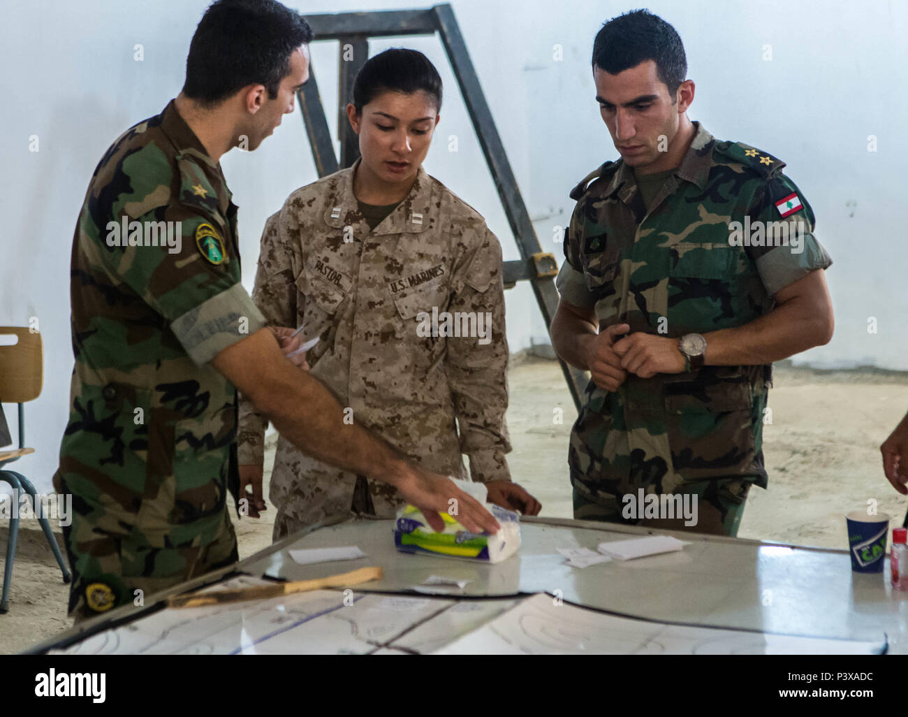 U.S. Marine Capt. Asia Pastor, center, an S-4 officer with Combat ...