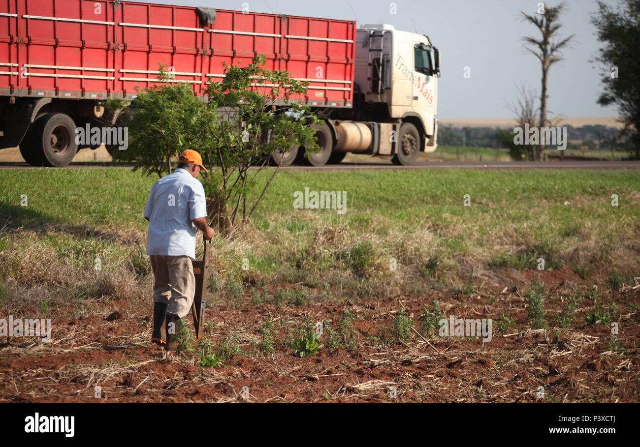 Agricultor usa uma Matraca para semear feijão em uma pequena ...