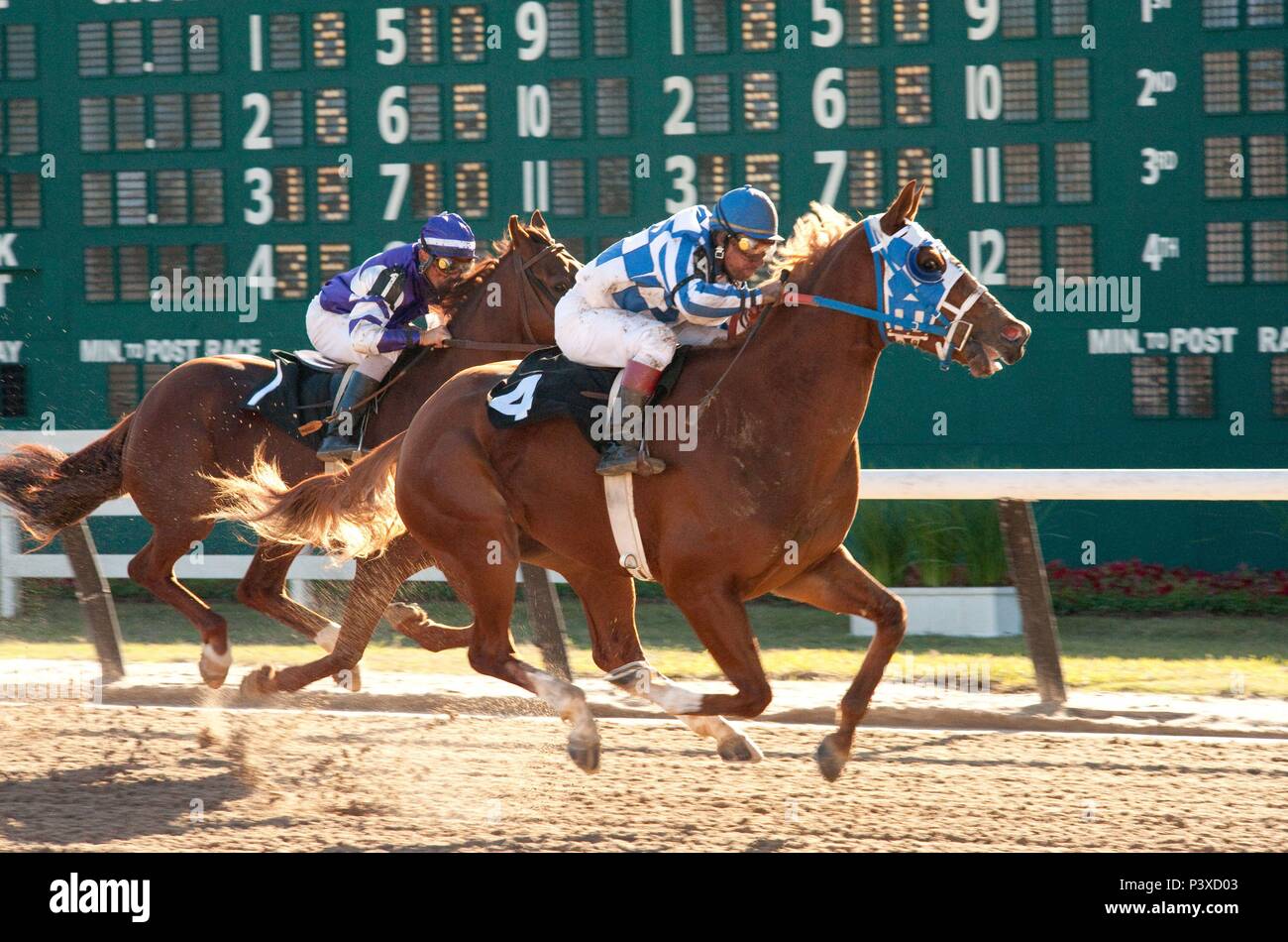 John bramley hi-res stock photography and images - Alamy