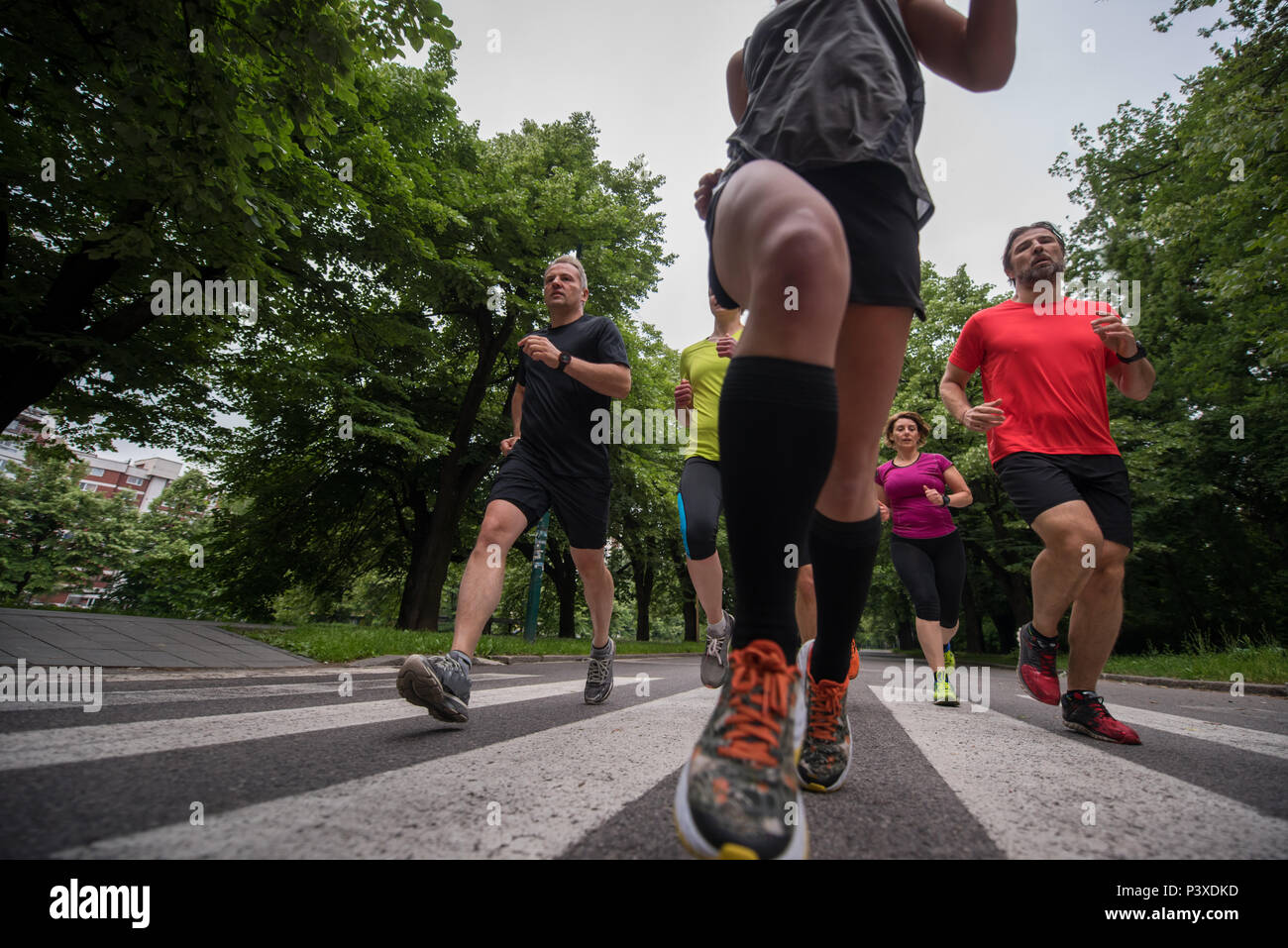 group of healthy people jogging in city park, runners team on morning ...