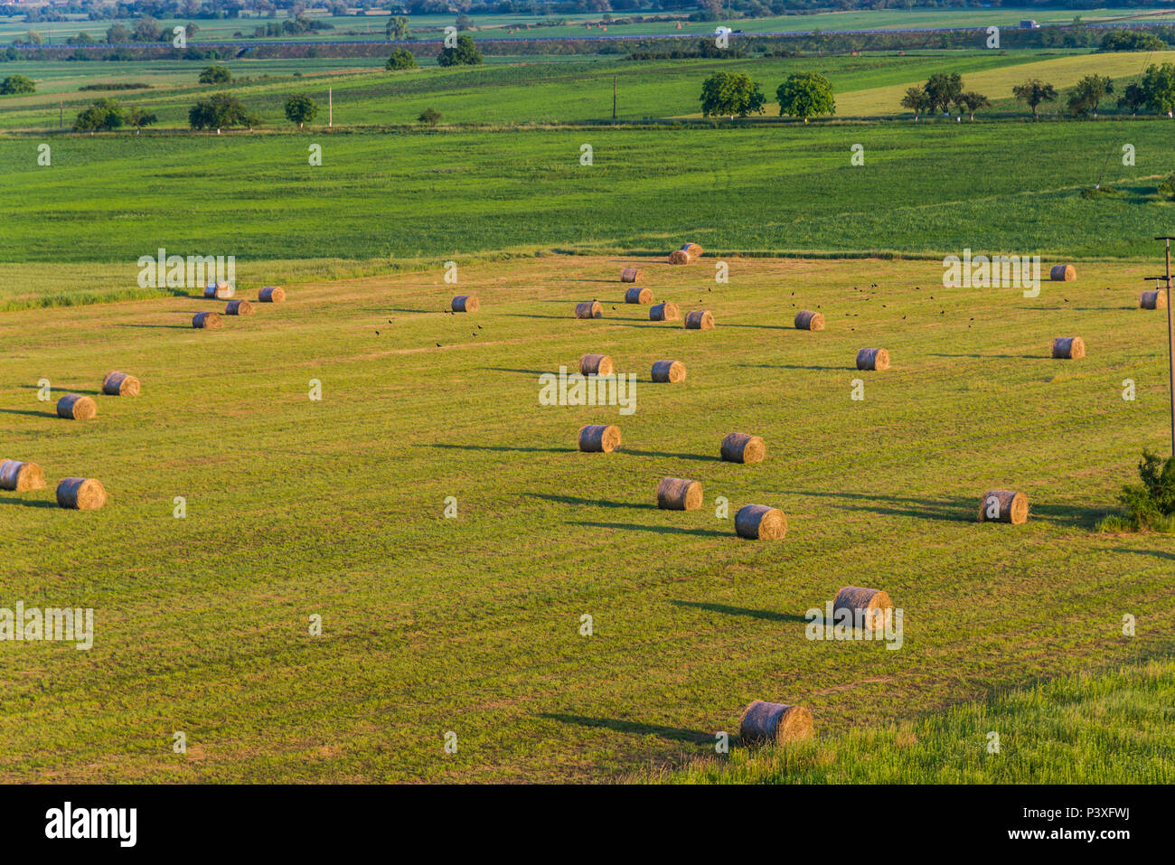 Spring landscape on the hill Stock Photo - Alamy