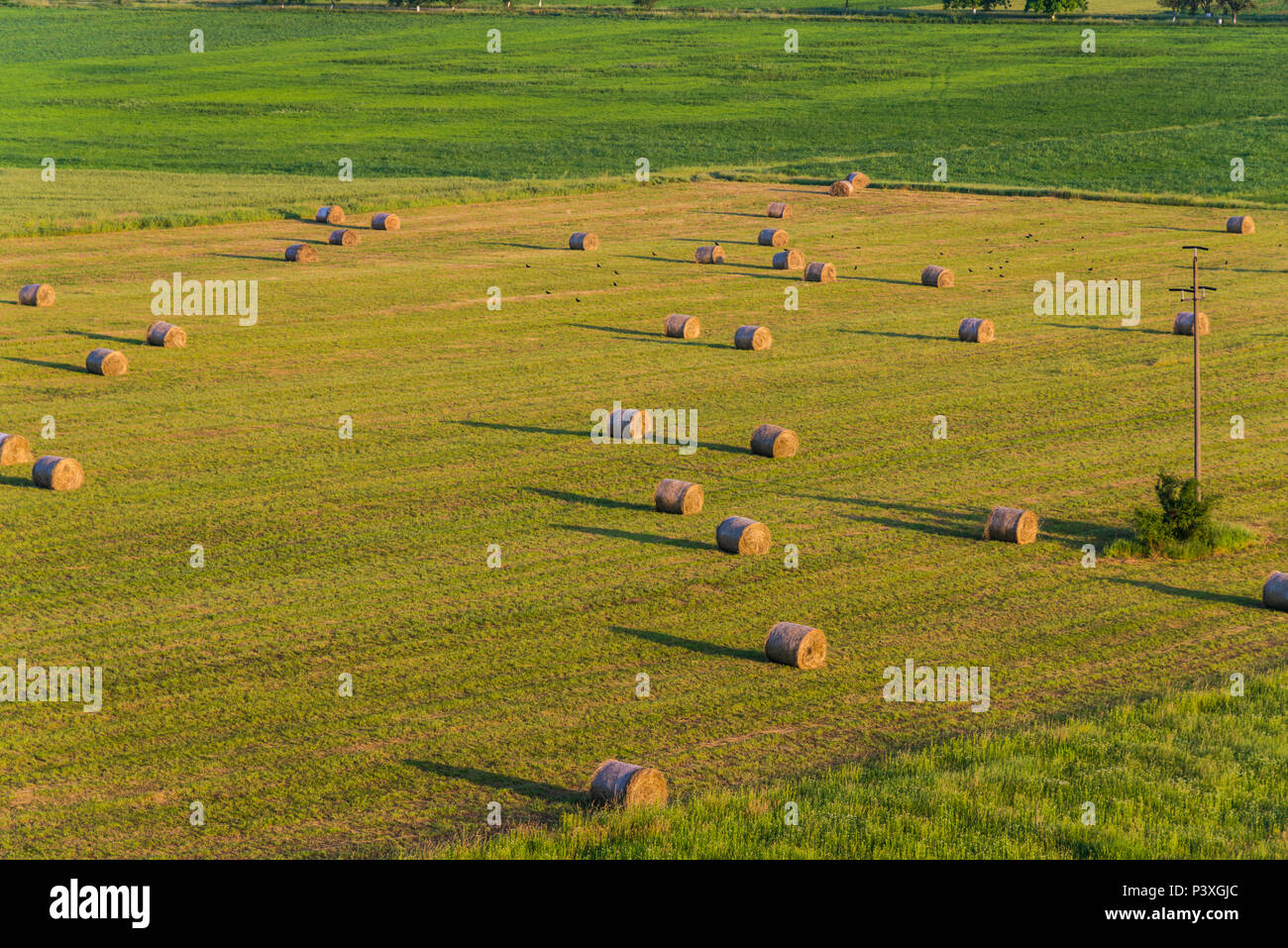Spring landscape on the hill Stock Photo - Alamy