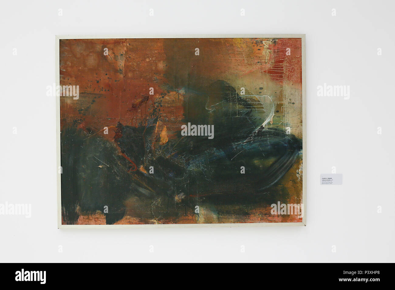 Obra de Flávio S. Tanaka exposta no Museu Oscar Niemeyer na coleção de ...