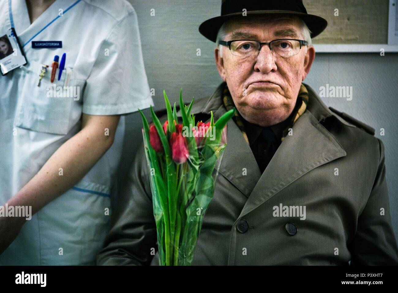 Original Film Title: LUFTSLOTTET SOM SPRÄNGDES. English Title: THE GIRL ...