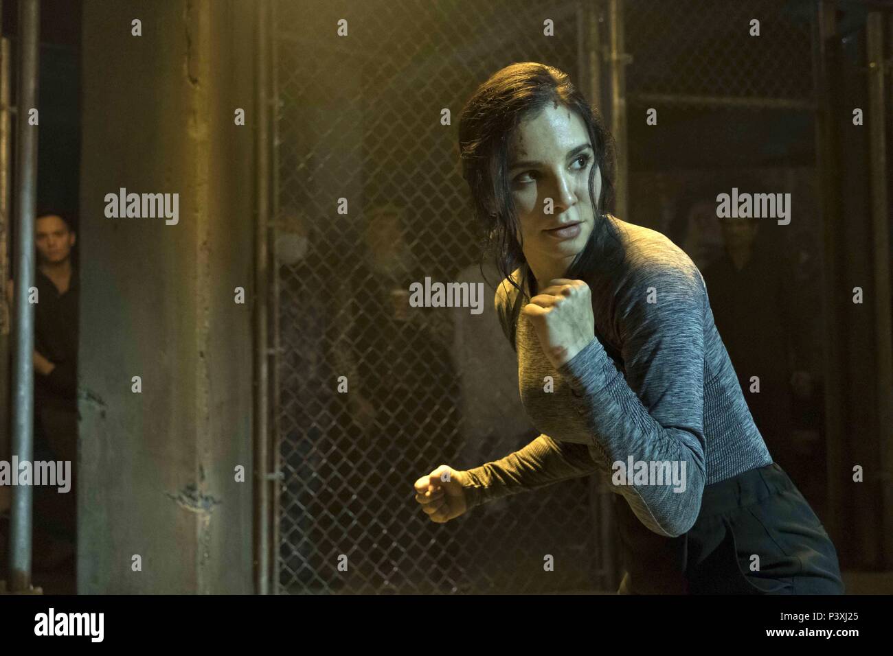 Original Film Title: ALTERED CARBON. English Title: ALTERED CARBON ...