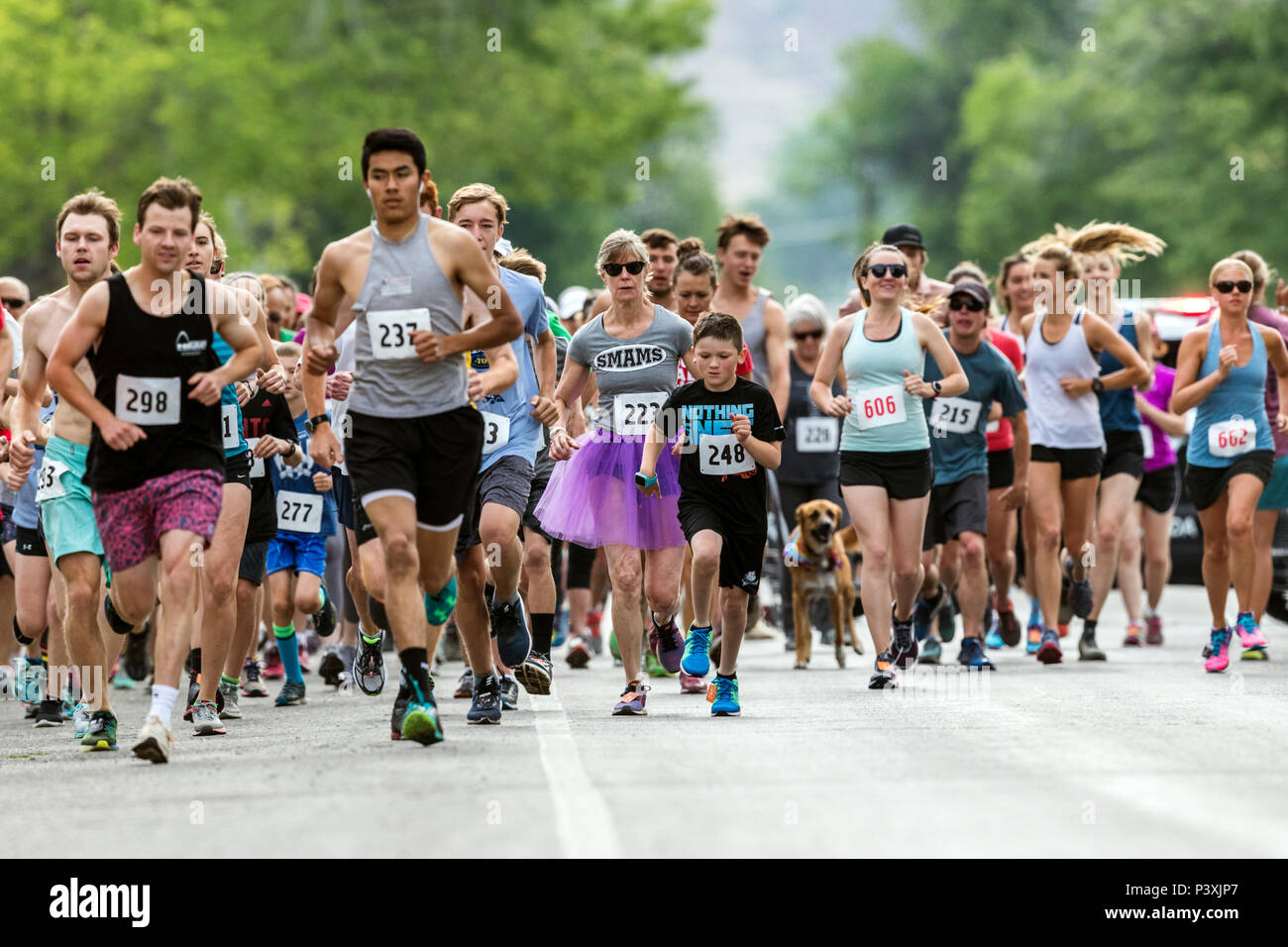 Runners in 5K & 10K foot races; annual Fibark festival; Salida ...