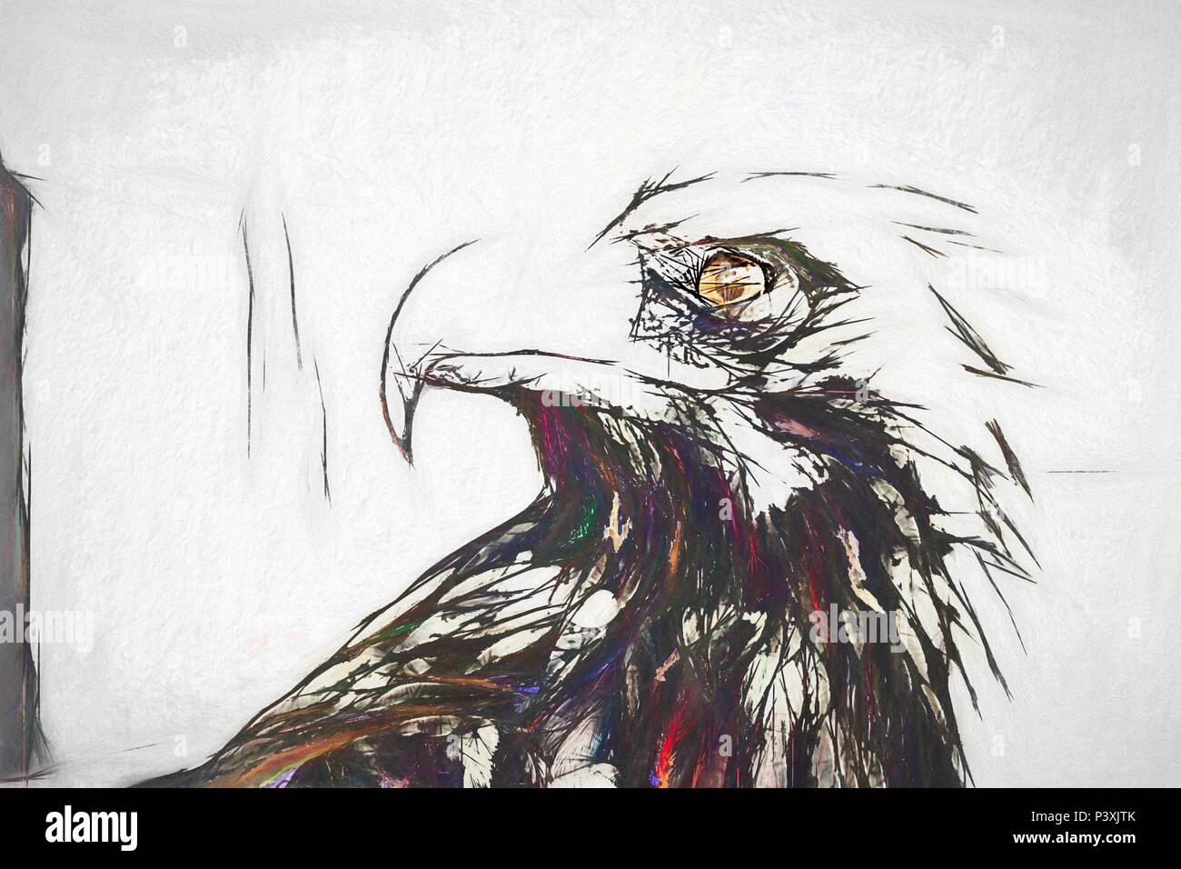 Eagle sketch hi-res stock photography and images - Alamy
