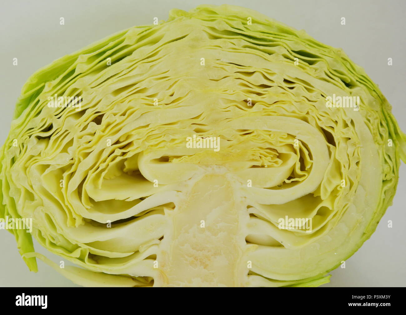 cabbage cut texture and background Stock Photo - Alamy