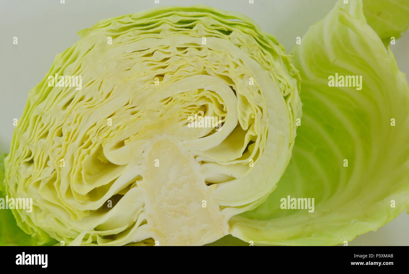 cabbage cut texture and background Stock Photo - Alamy