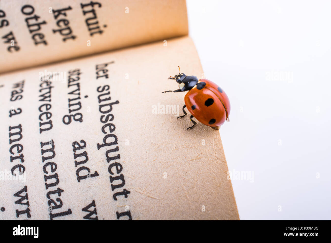Beautiful photo of red ladybug walking on a book page Stock Photo - Alamy