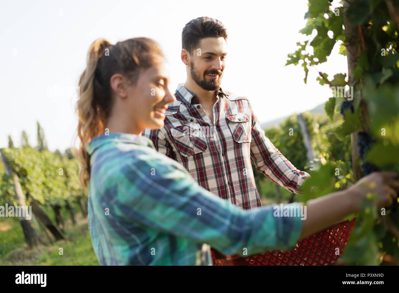 People harvesting hi-res stock photography and images - Alamy