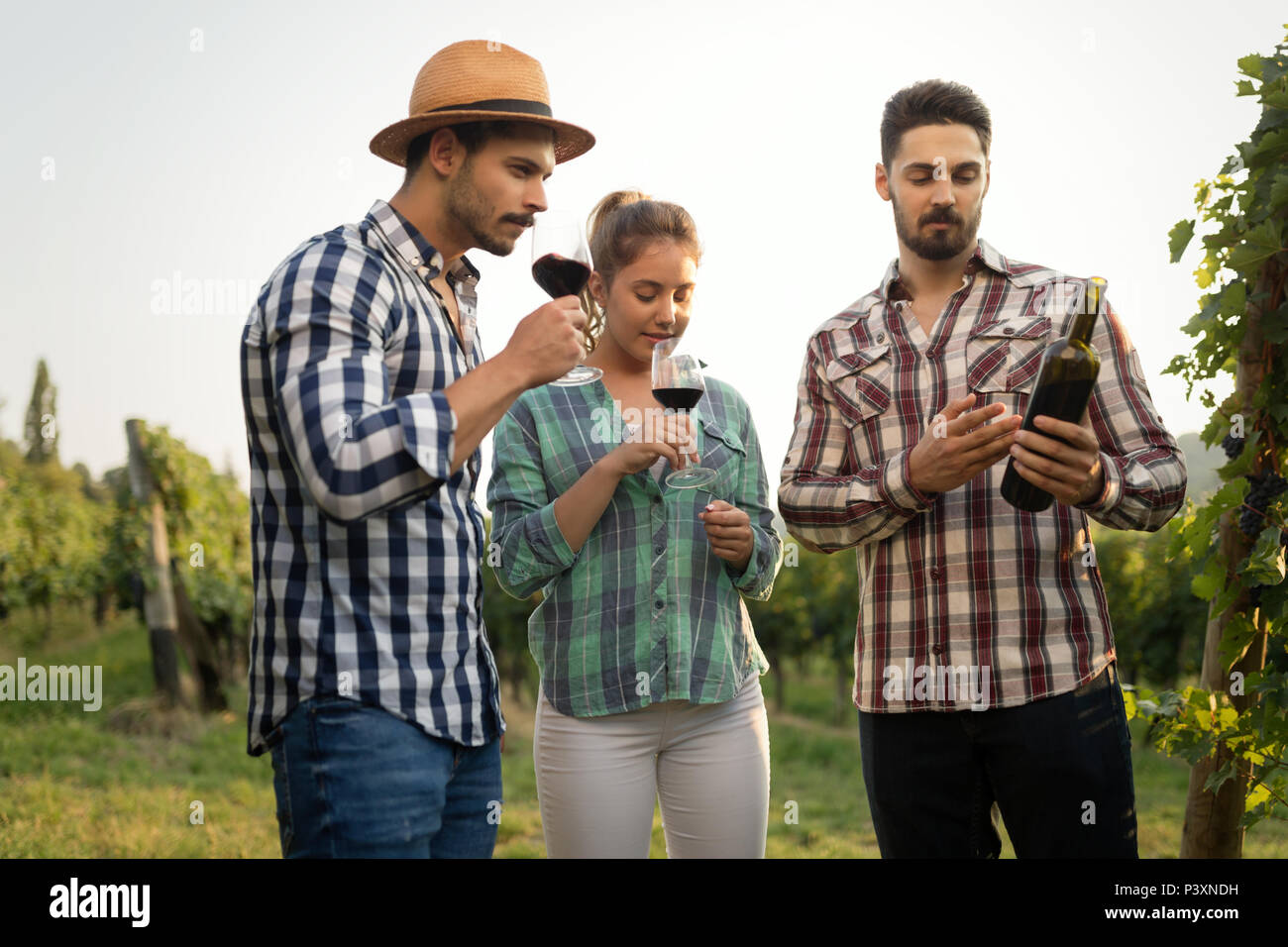 People sampling and tasting wines in vineyard Stock Photo - Alamy