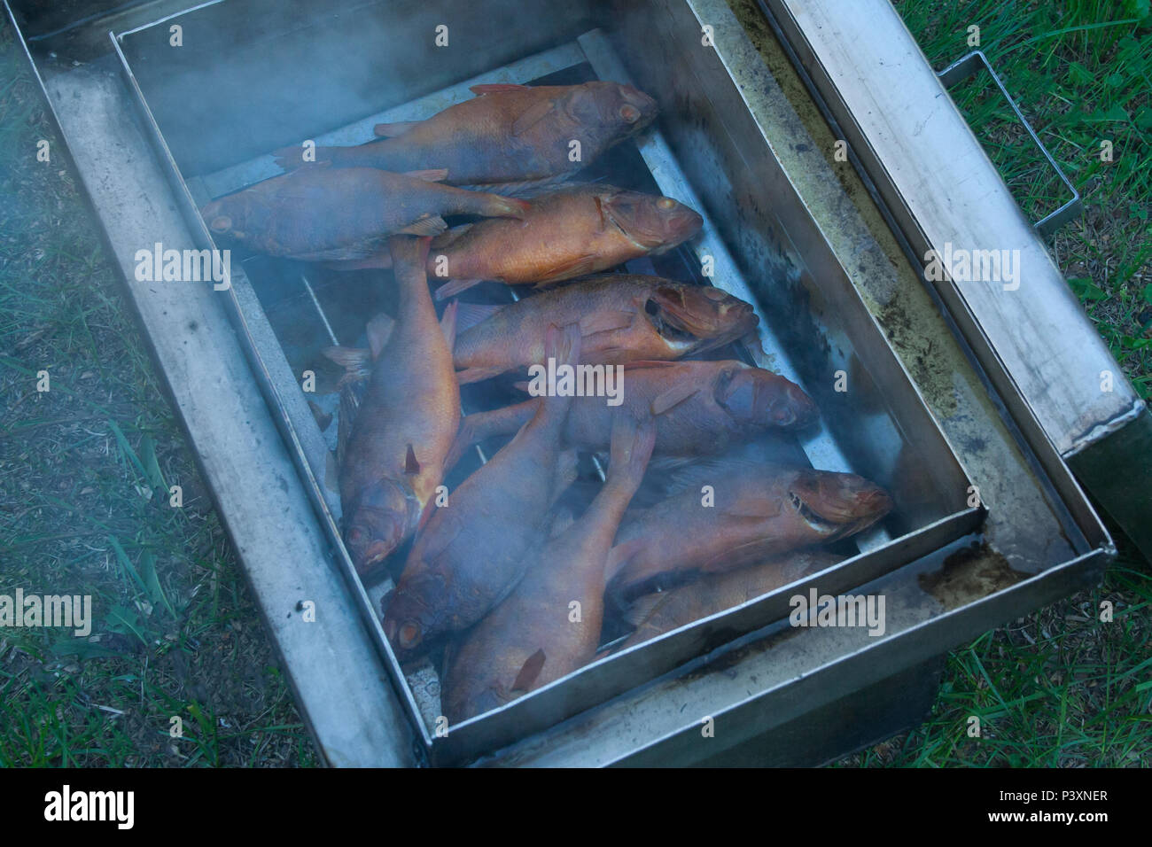 Traditional salmon smoking in smokehouse hi-res stock photography and ...