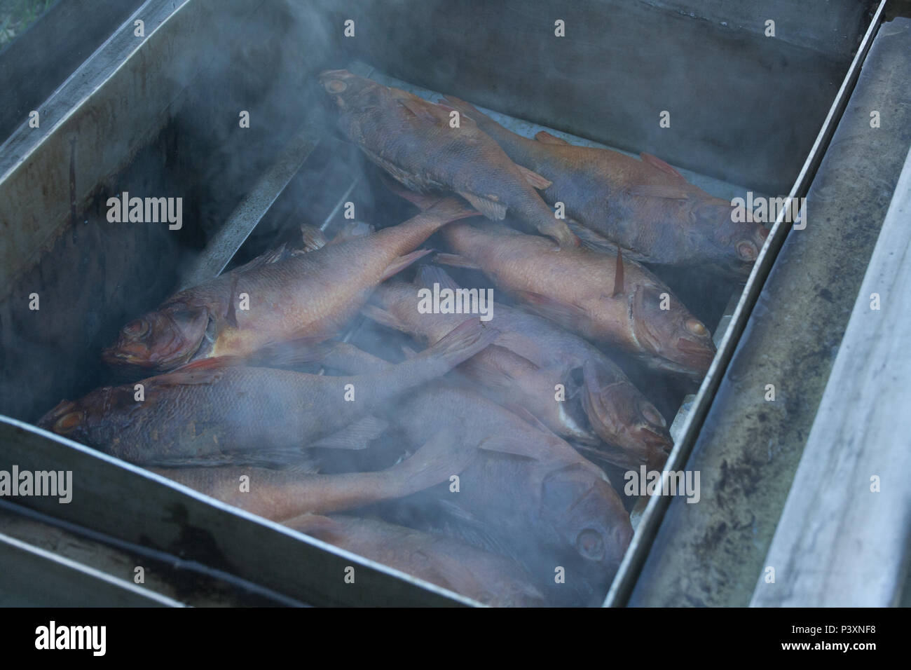 Fish smoking in smokehoude. Hot fish with steam Stock Photo - Alamy