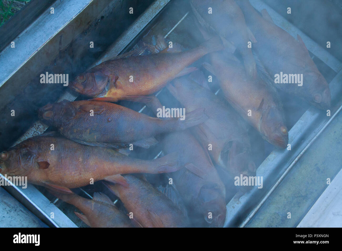 Fish smoking hot hi-res stock photography and images - Alamy