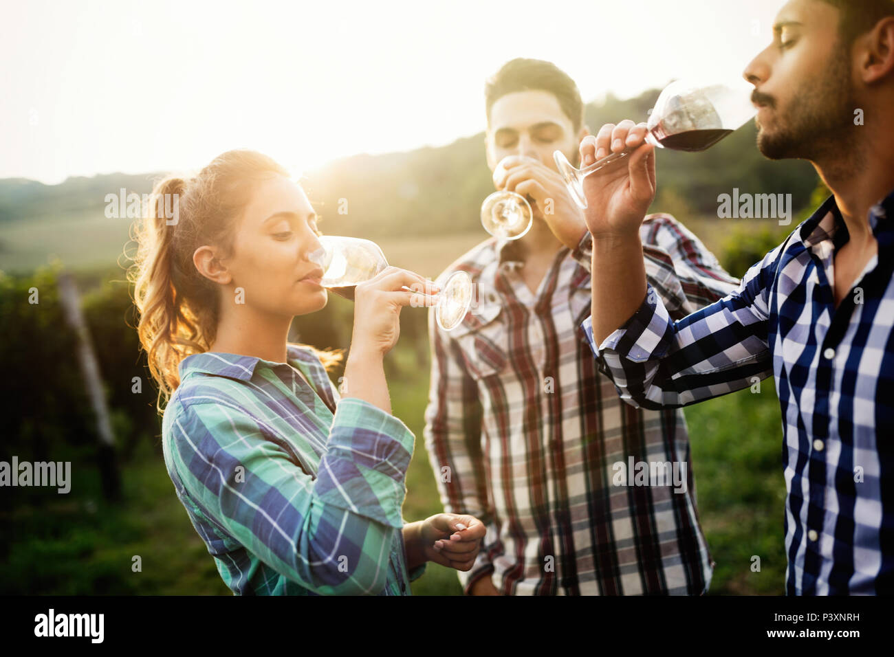 Wine grower and people in vineyard Stock Photo - Alamy