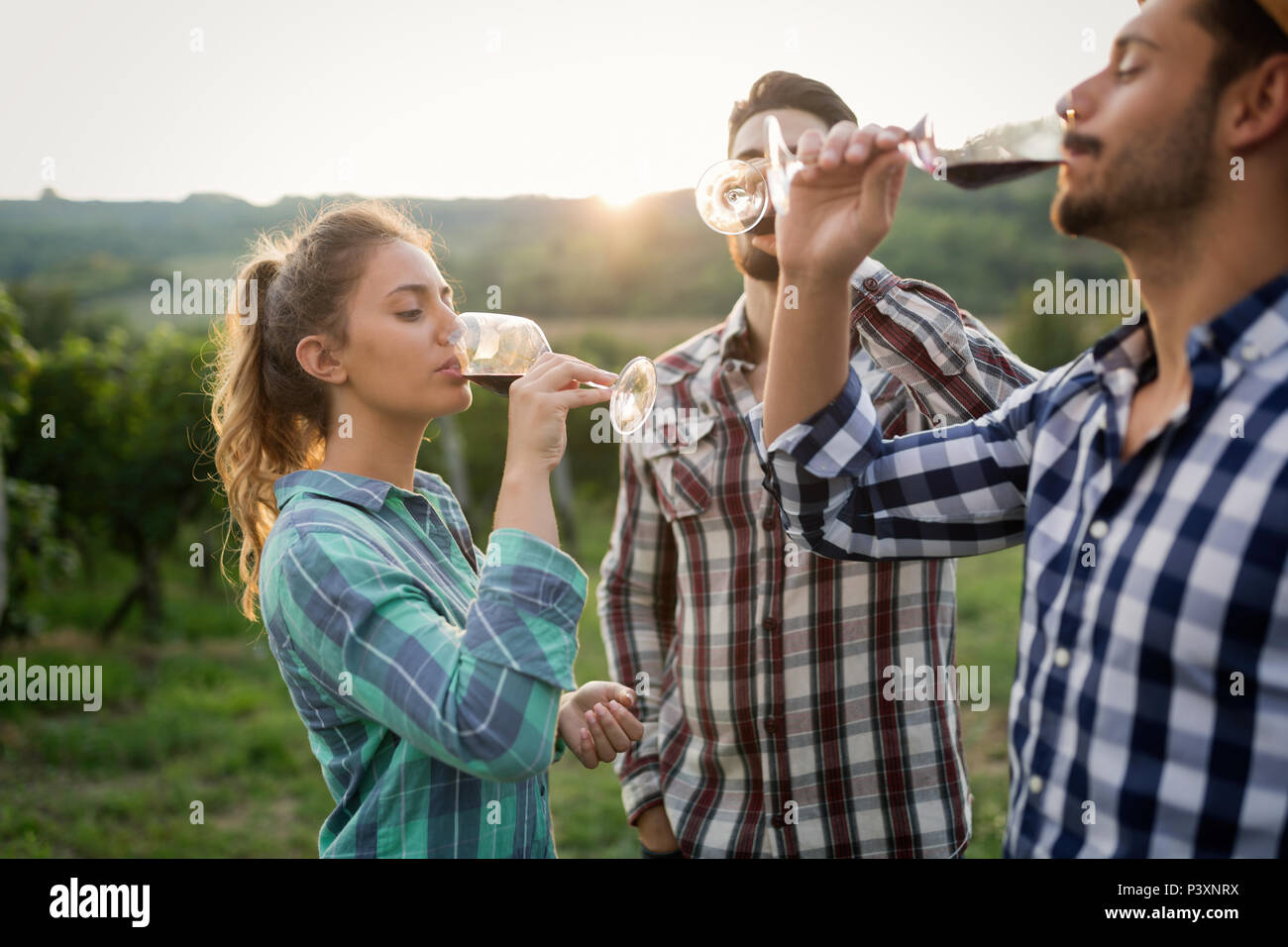 Wine grower and people in vineyard Stock Photo - Alamy