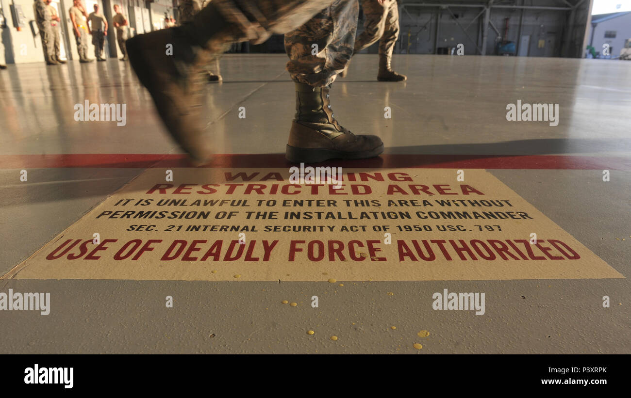Air Commandos from the 4th Aircraft Maintenance Unit line up in ...
