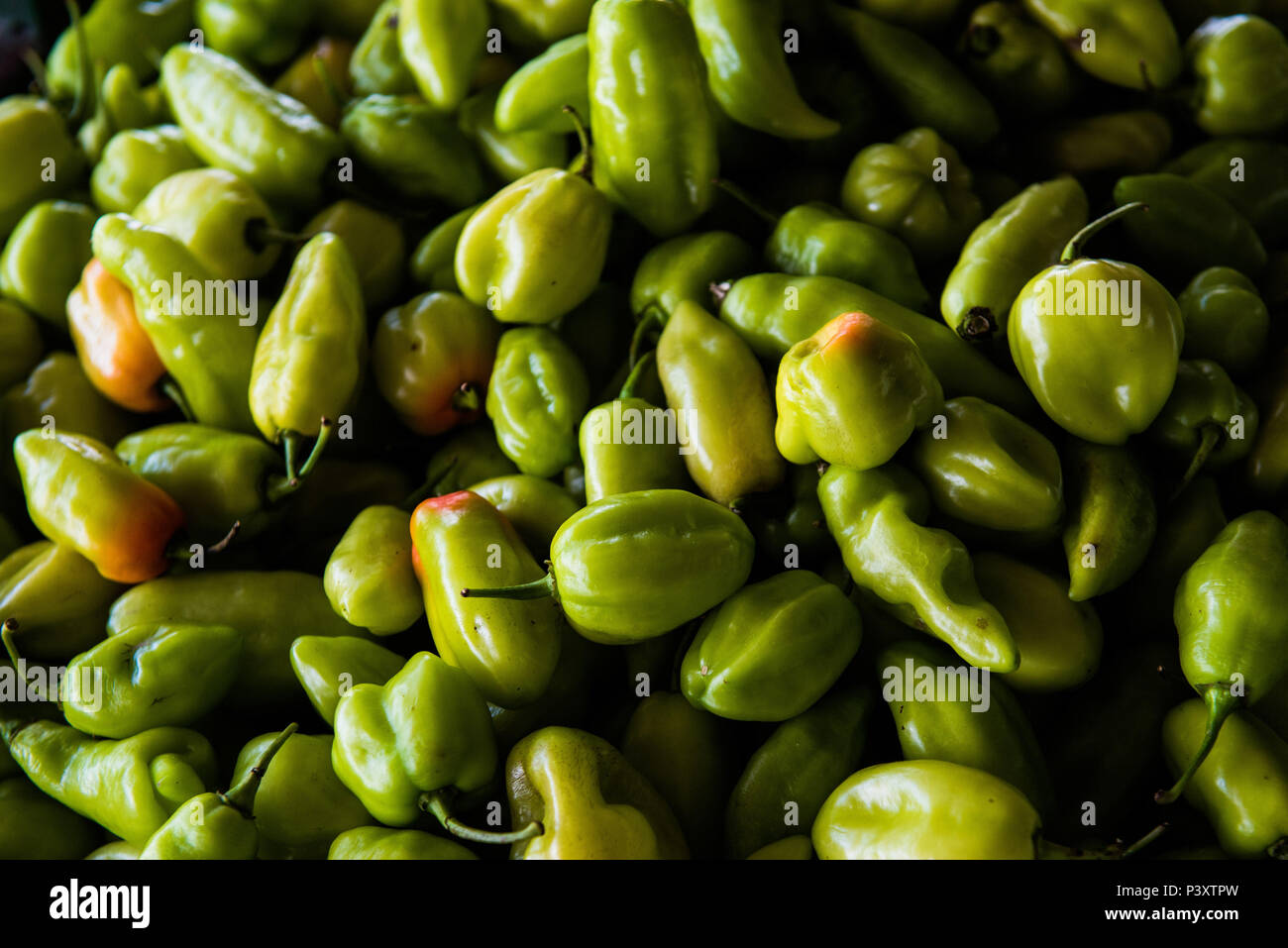 Pimenta de cheiro durante feira de produtos regionais em Iranduba/AM ...