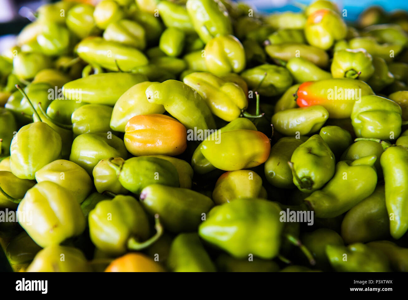 Pimenta de cheiro hi-res stock photography and images - Alamy