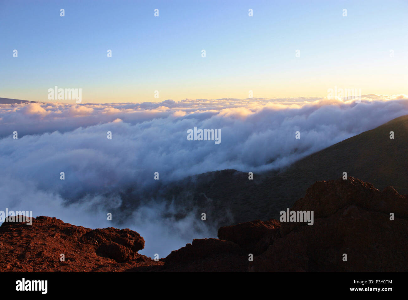 Kea standing hi-res stock photography and images - Alamy