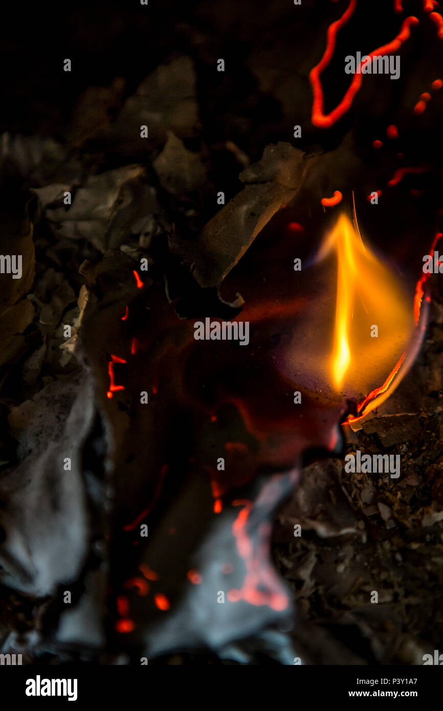 Scrunched Up Paper Stock Photos & Scrunched Up Paper Stock Images - Alamy