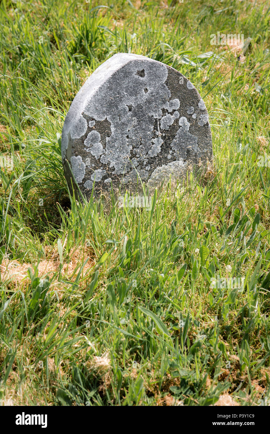 An old stone gravestone lost in the grass, weathered and old in a ...