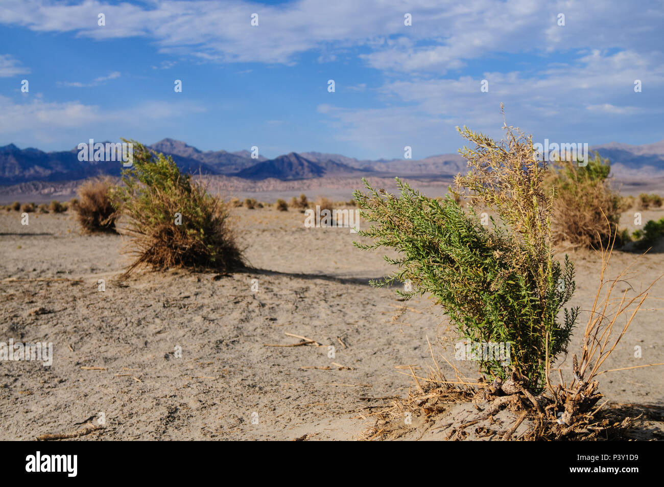 The Arid Valley Floor of Death Valley, near Stovepipe Wells. Image from ...