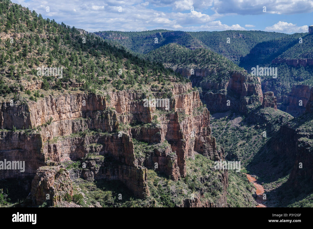 Overlook of the Becker Butte and the Salt River in the Fort Apache ...