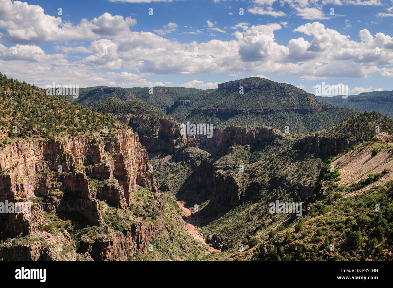 Overlook of the Becker Butte and the Salt River in the Fort Apache ...