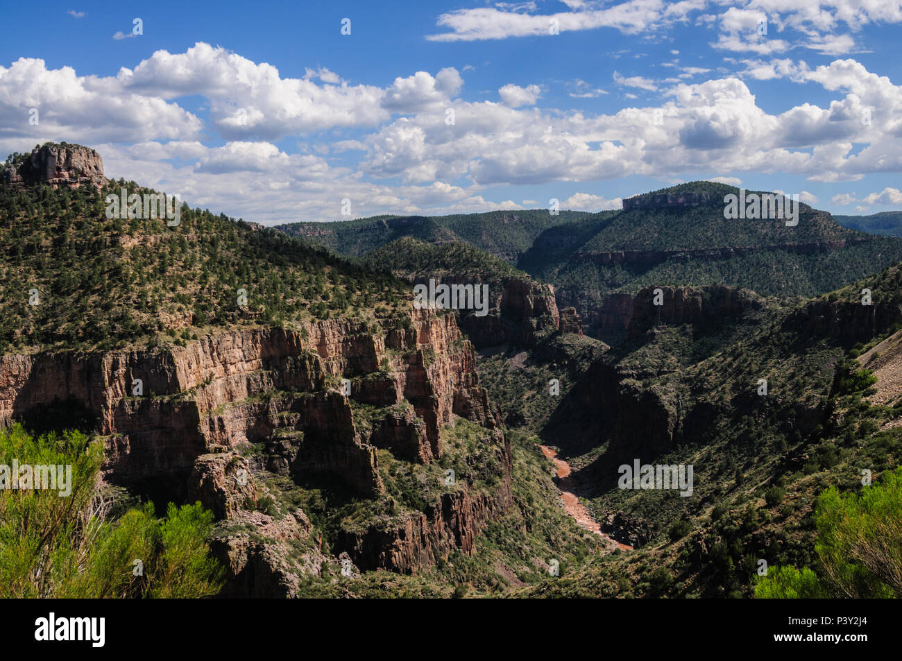 Overlook of the Becker Butte and the Salt River in the Fort Apache ...