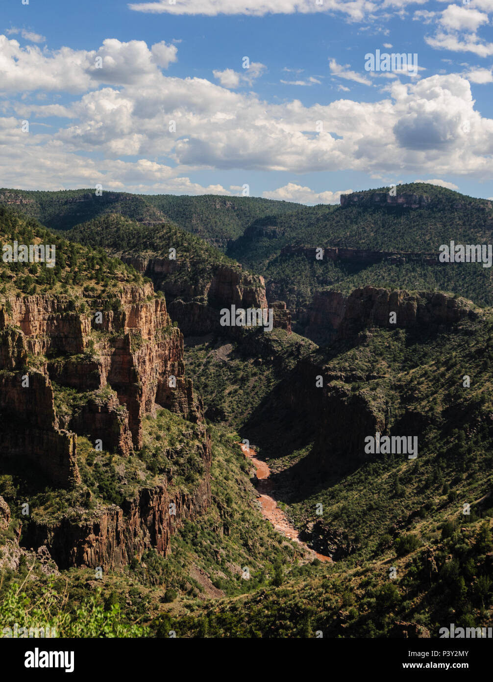 Overlook of the Becker Butte and the Salt River in the Fort Apache ...