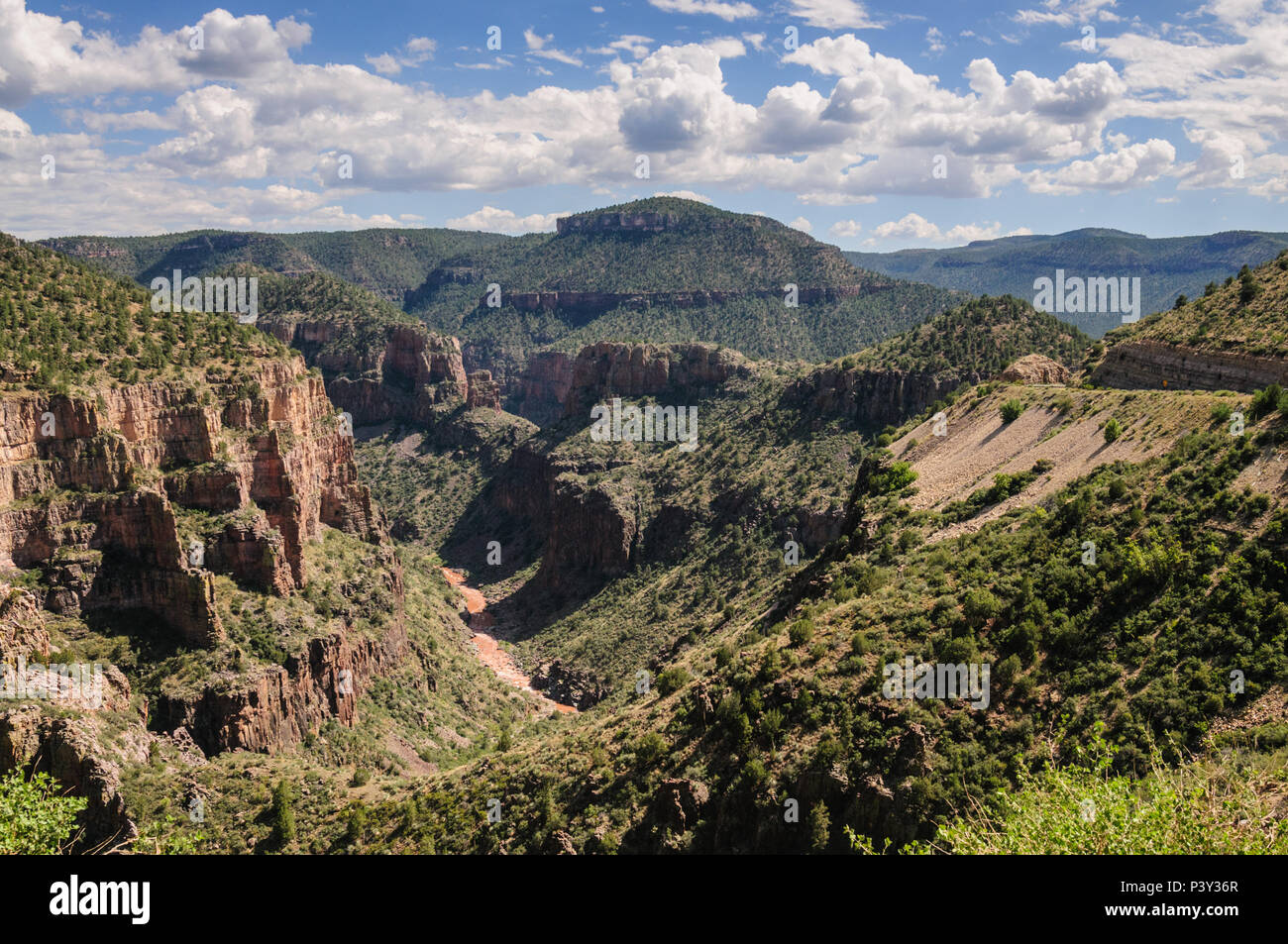 Overlook of the Becker Butte and the Salt River in the Fort Apache ...
