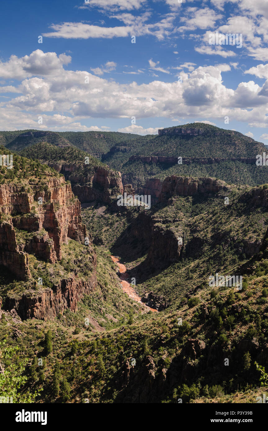 Overlook of the Becker Butte and the Salt River in the Fort Apache ...