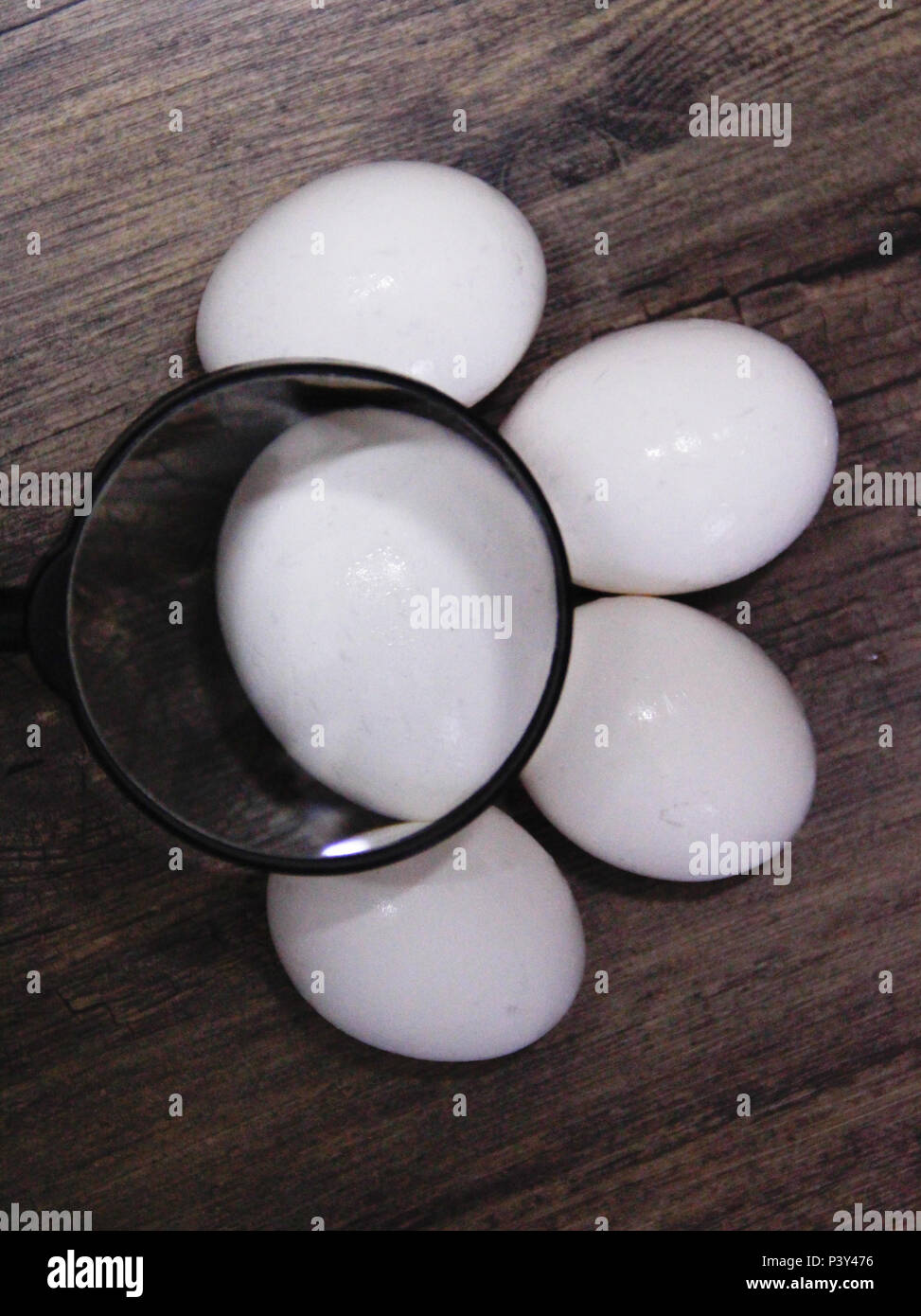 Objeto ampliado com lupa Stock Photo - Alamy