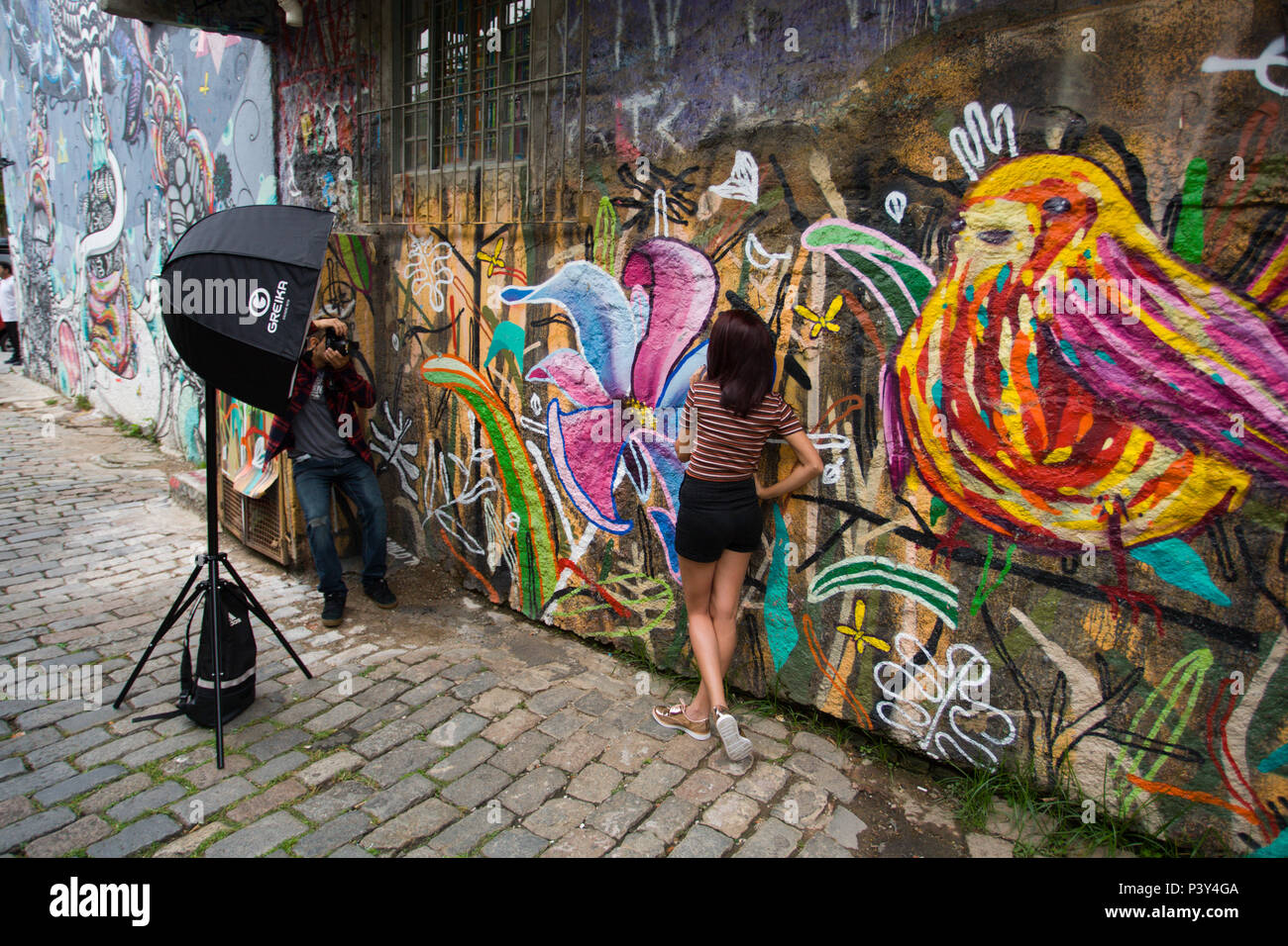 Beco do Batman situado na Vila Madalena, Zona Oeste de São Paulo Stock ...