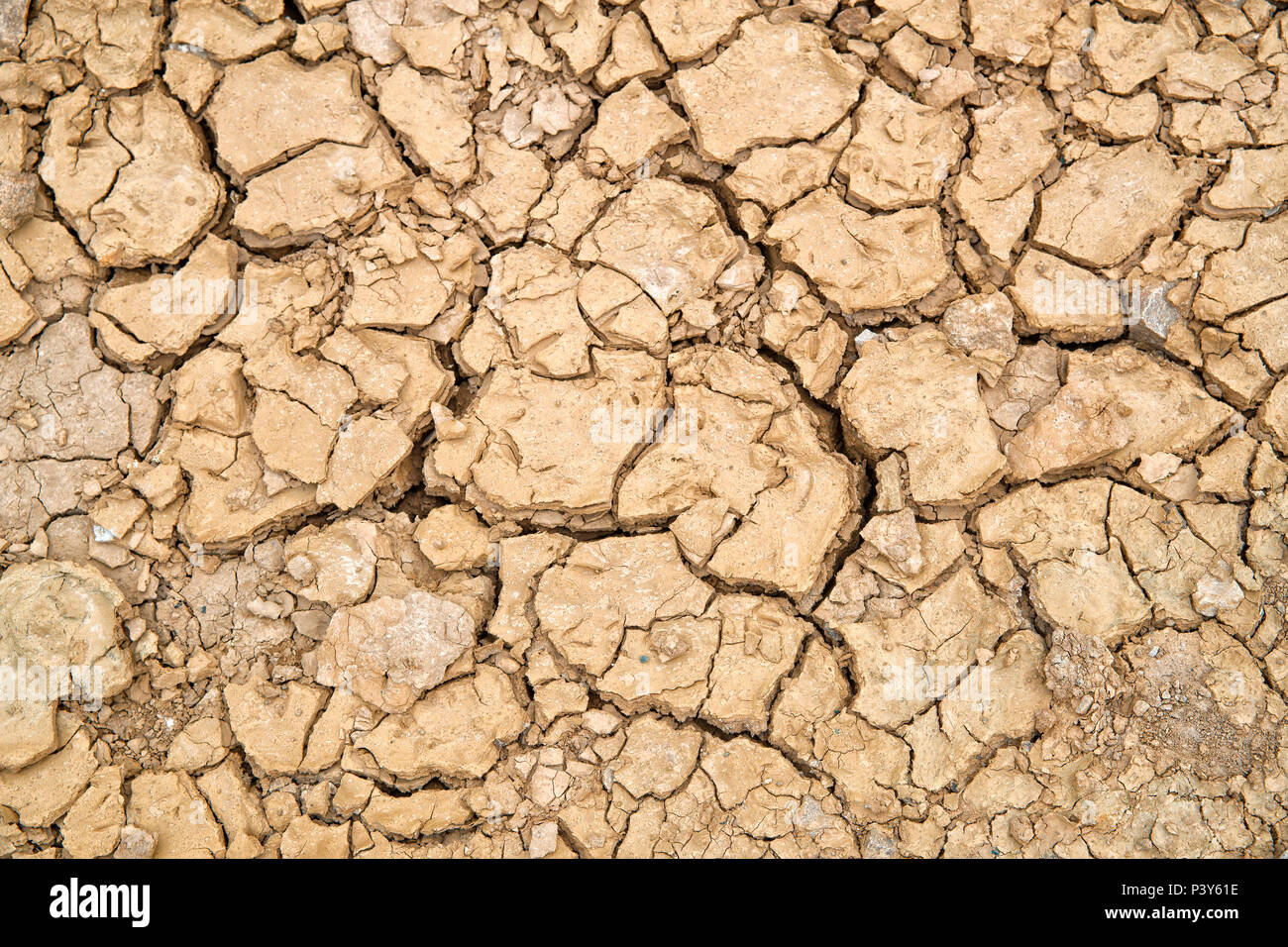 Dry cracked ground , a shortage of rainfall has caused drought ...