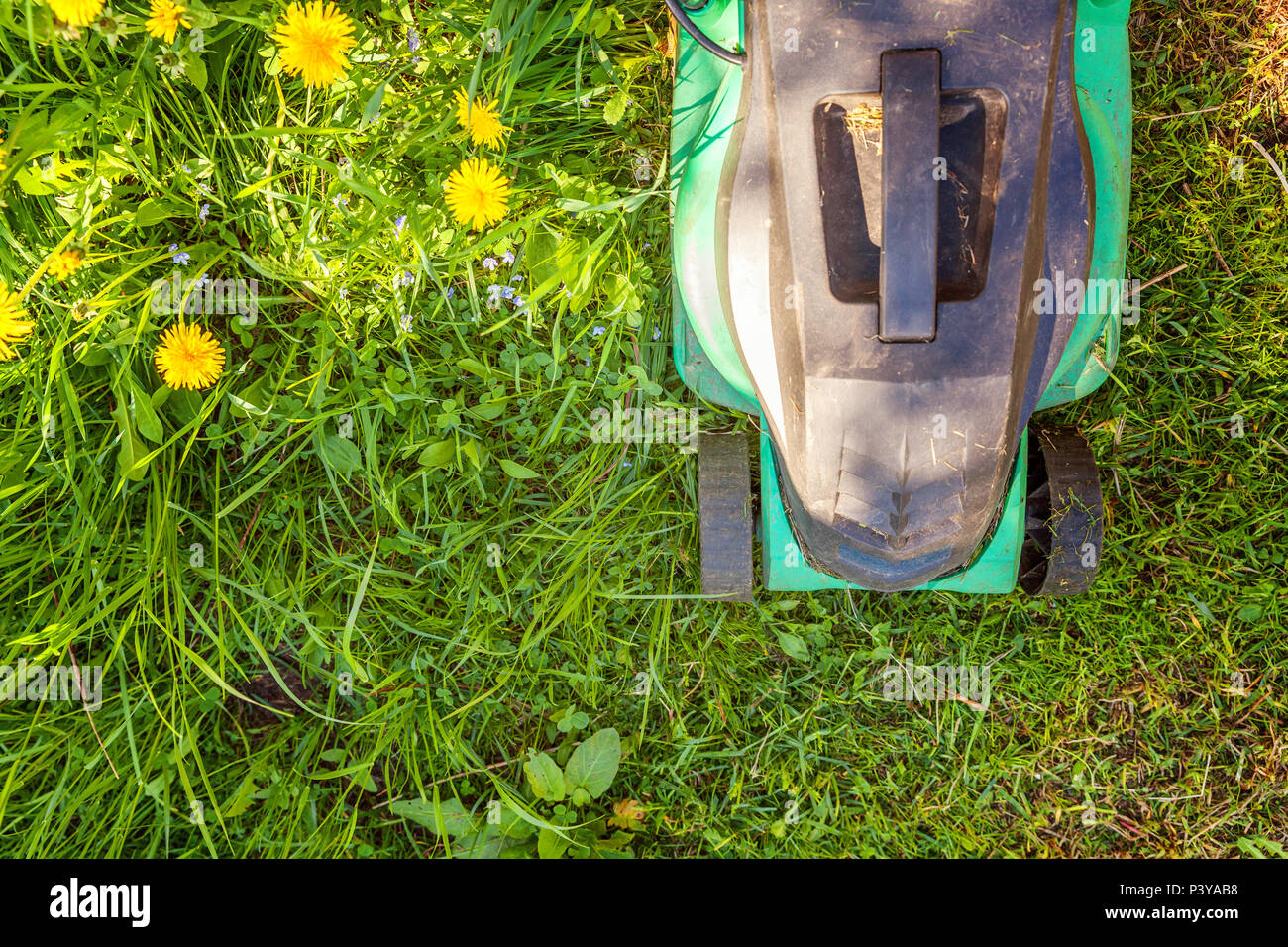 Lawn mower cutting green grass in backyard in sunny day. Gardening ...