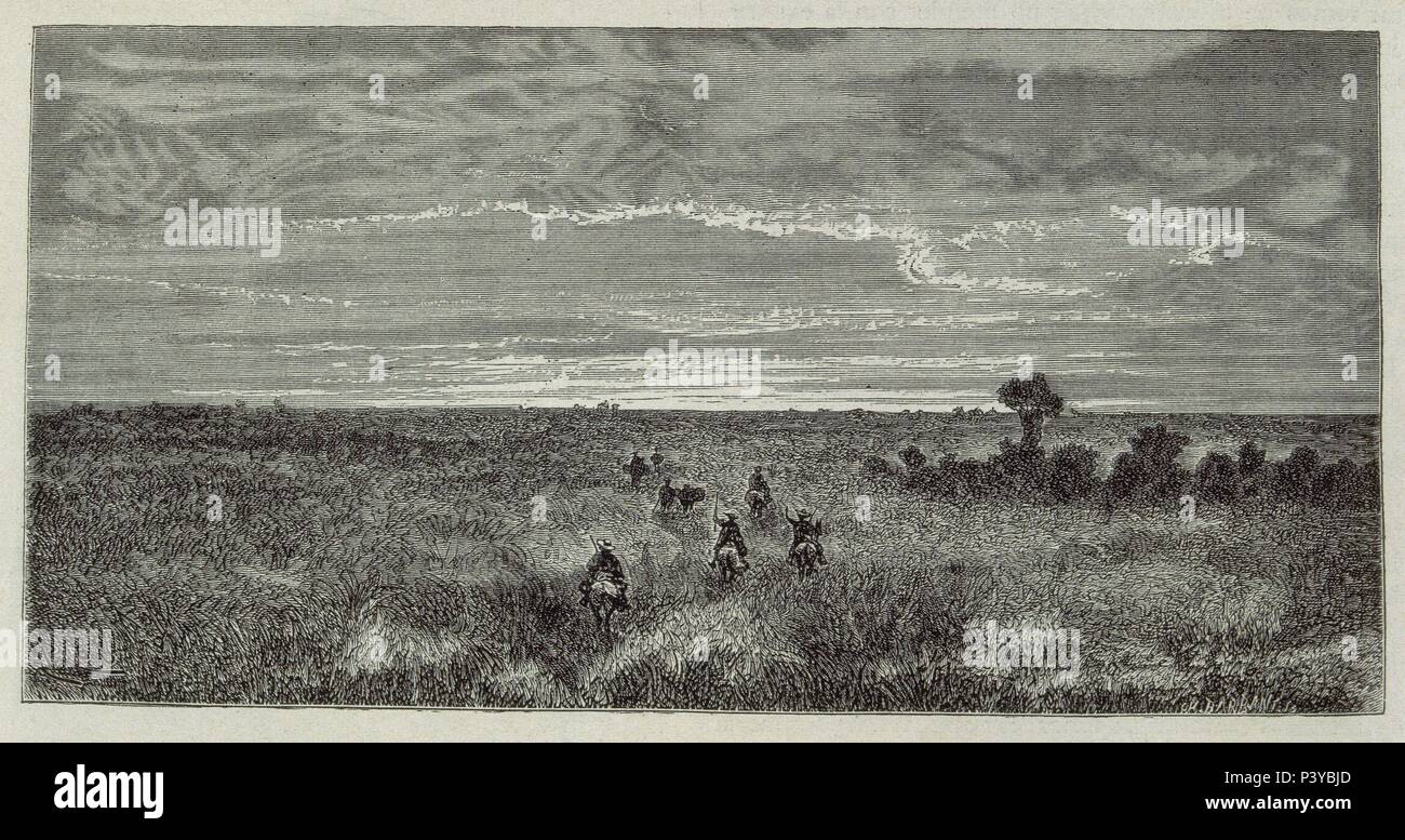 Los llanos venezuela 19th century hi-res stock photography and images ...