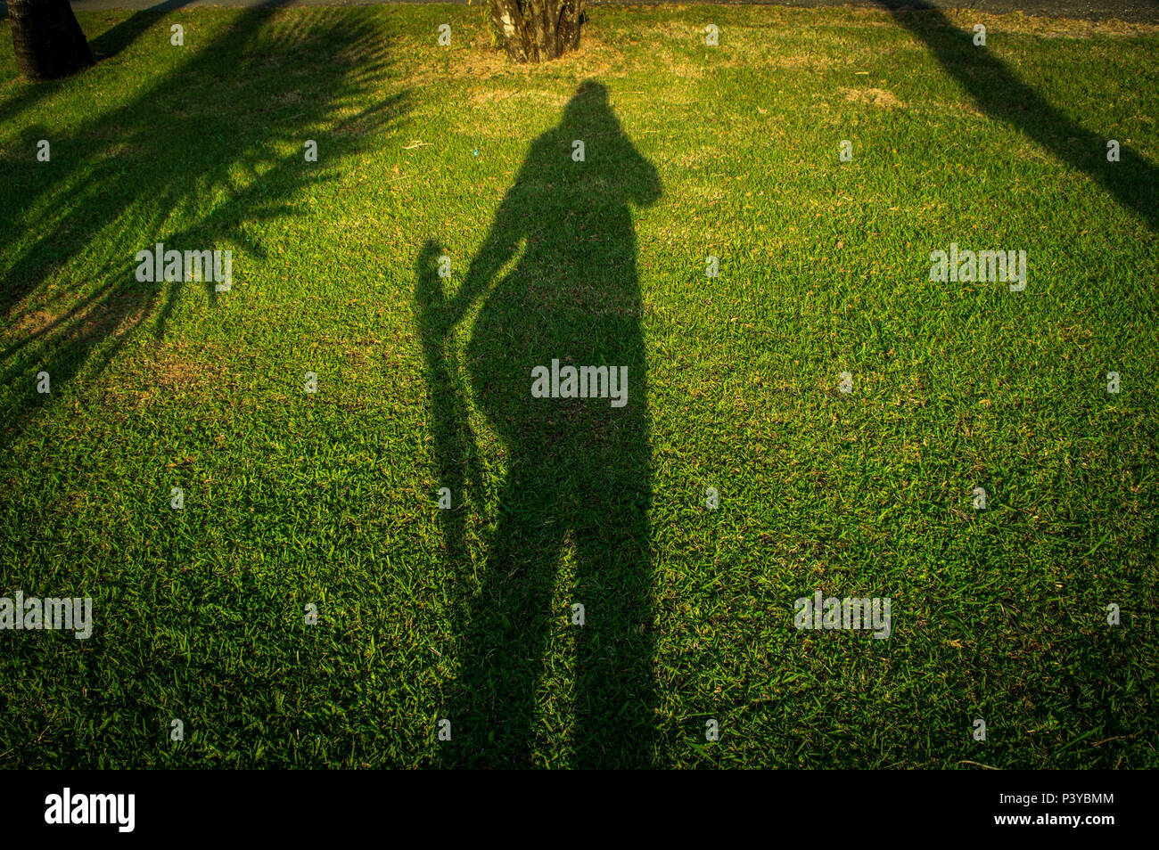 Light and shadow on grass hi-res stock photography and images - Alamy