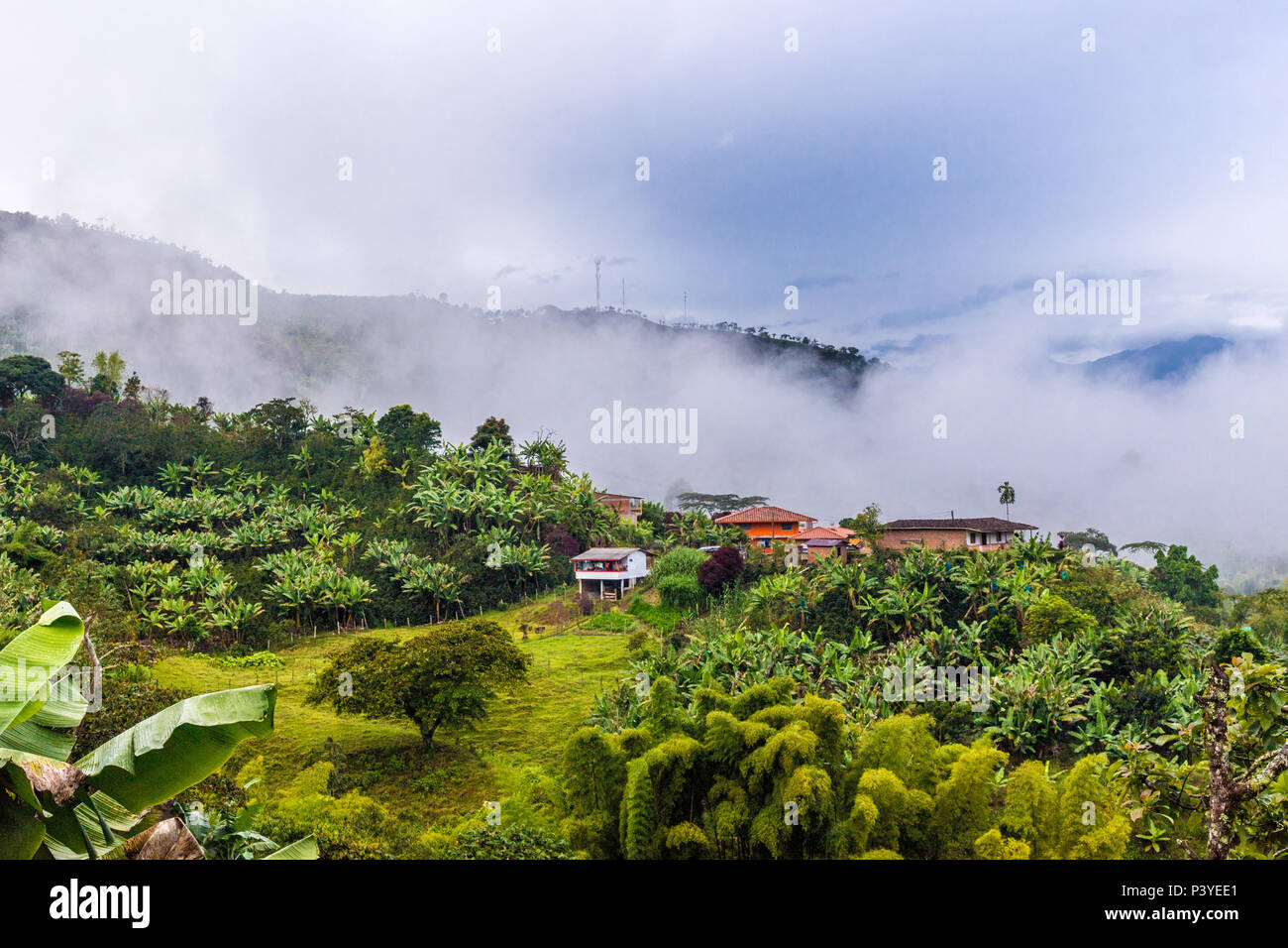 Colombian forest landscapes hi-res stock photography and images - Alamy