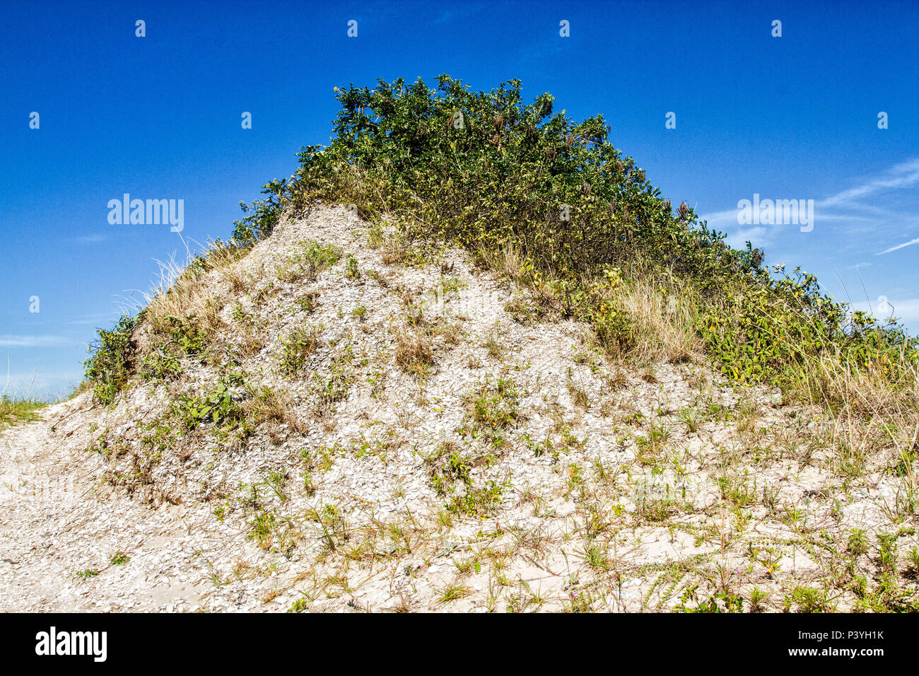 Sambaqui de Garopaba do Sul, um sítio arqueológico com cerca de 5.000 ...