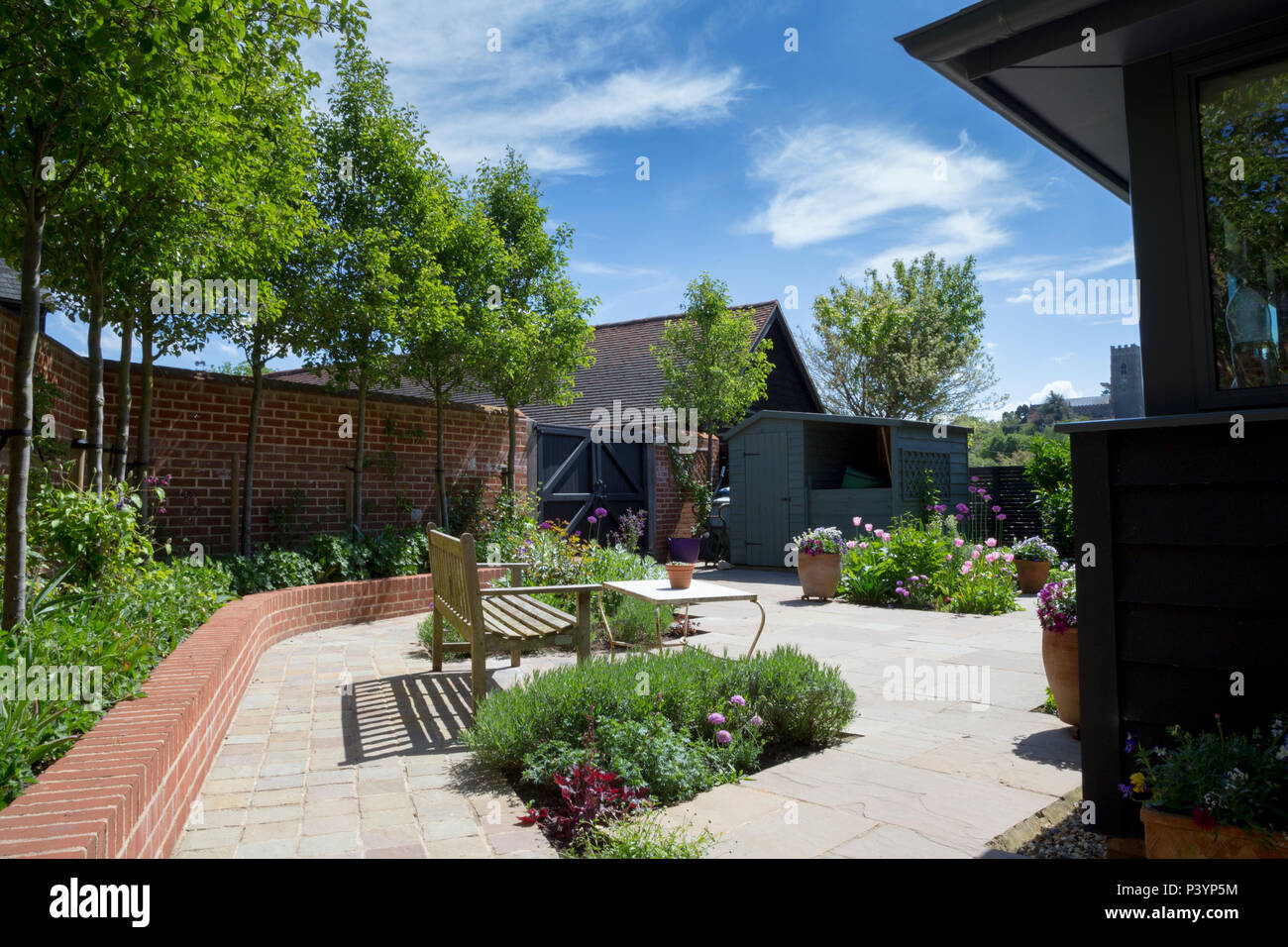 Overview of garden patio with Pyrus calleryana 'Chanticleer' screening ...