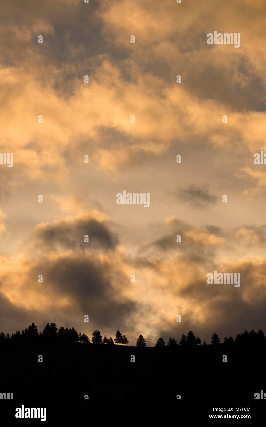 Ravalli montana hi-res stock photography and images - Alamy
