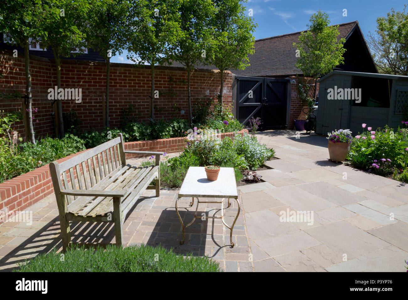 Overview of garden patio with Pyrus calleryana 'Chanticleer' screening ...
